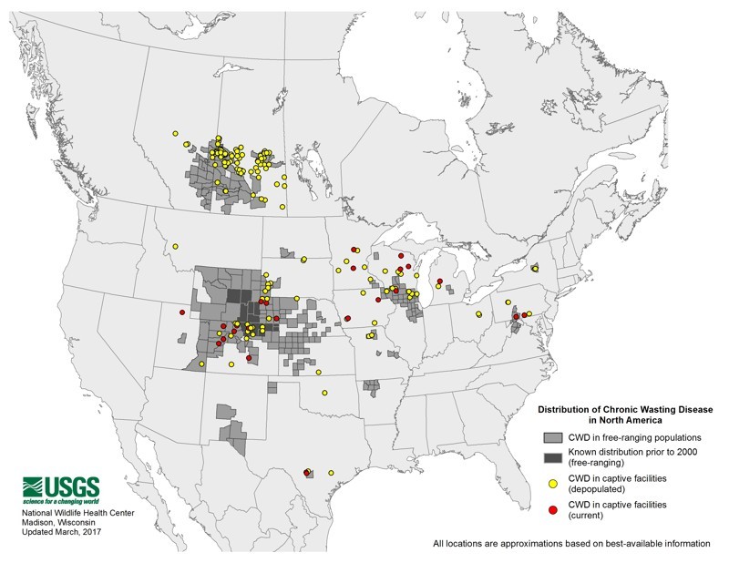 NPR: “Zombie Deer Disease” Could Spread to Humans | AM 1180 Radio
