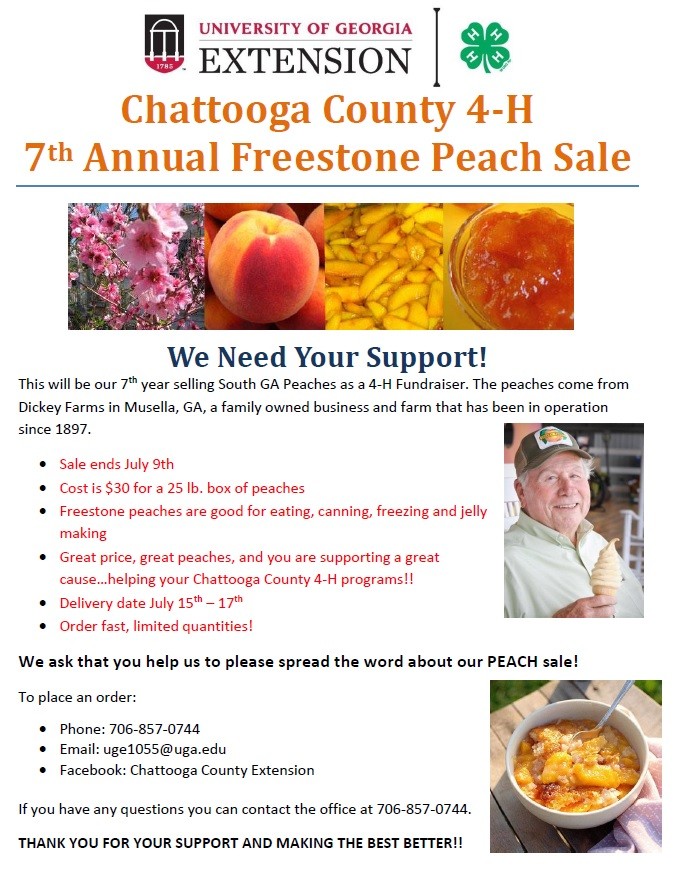 Seventh Annual Chattooga 4-H Peach Sale Underway | AM 1180 Radio