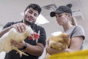 UGA Creates High School Poultry Curriculum | AM 1180 Radio