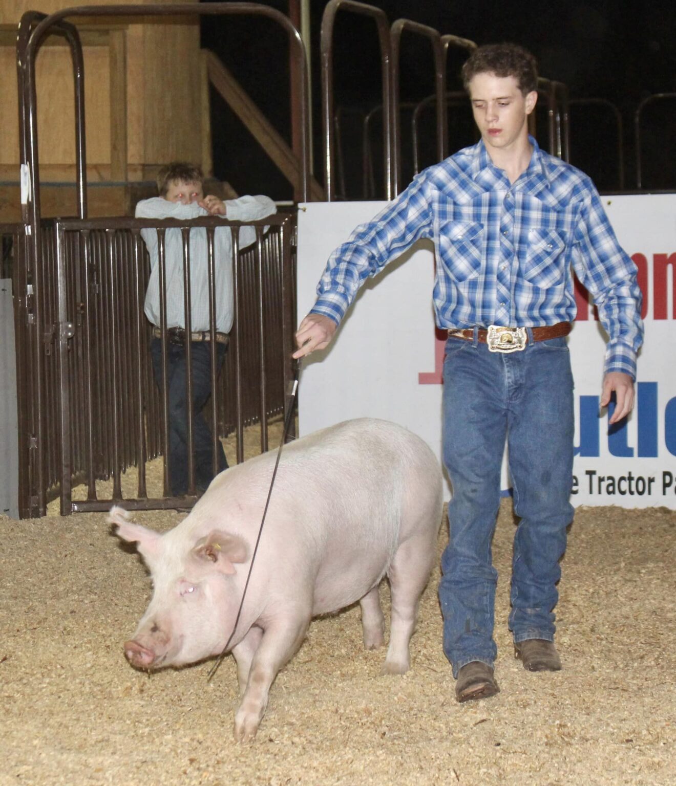 Annual Pig Show A Success | AM 1180 Radio