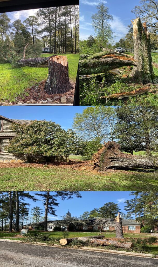 Storms Topple Trees & Takes Out Power | AM 1180 Radio