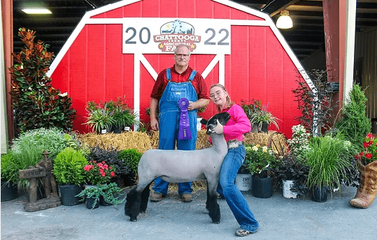 Lamb Show Tonight At Chattooga County Fair | AM 1180 Radio