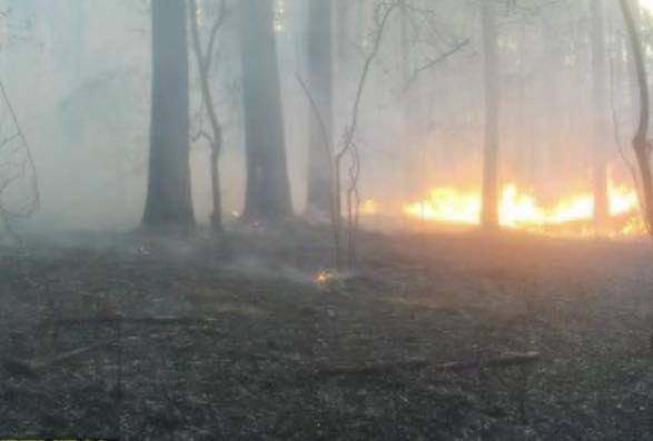 Fire Off Evans Road In Chattooga County | AM 1180 Radio