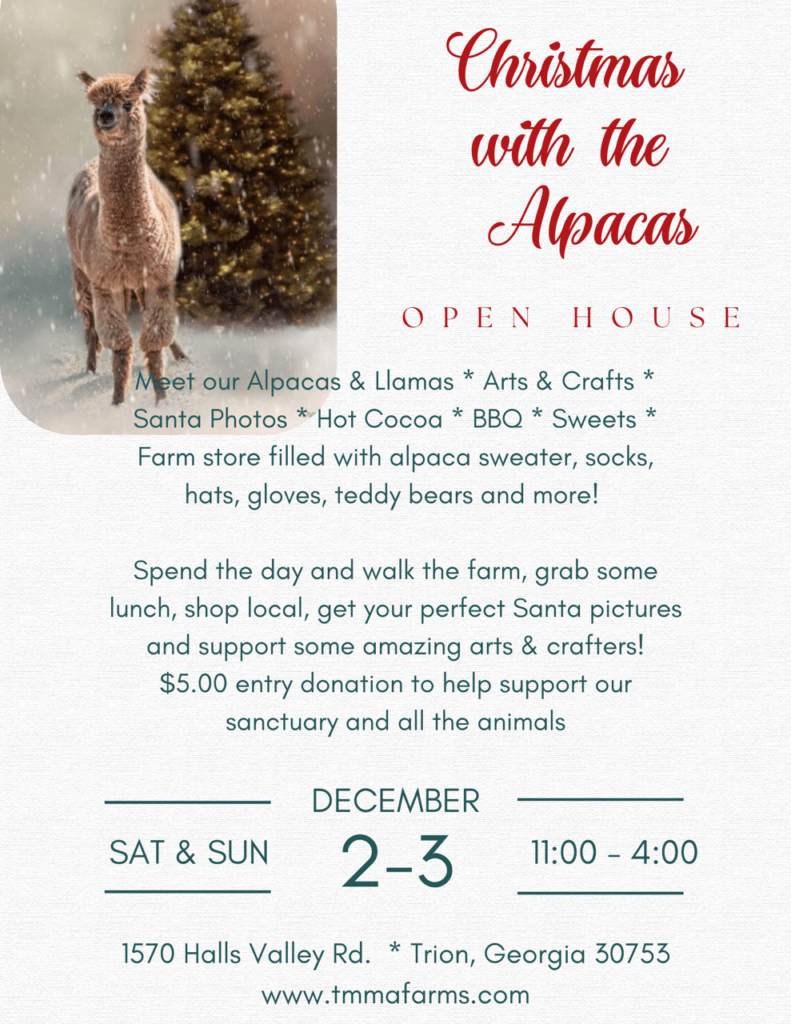 Christmas With Alpacas Is On For This Weekend! | AM 1180 Radio
